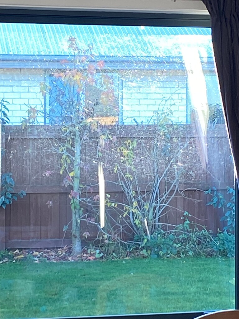 What are these scratch like looking marks - Residential - Window ...